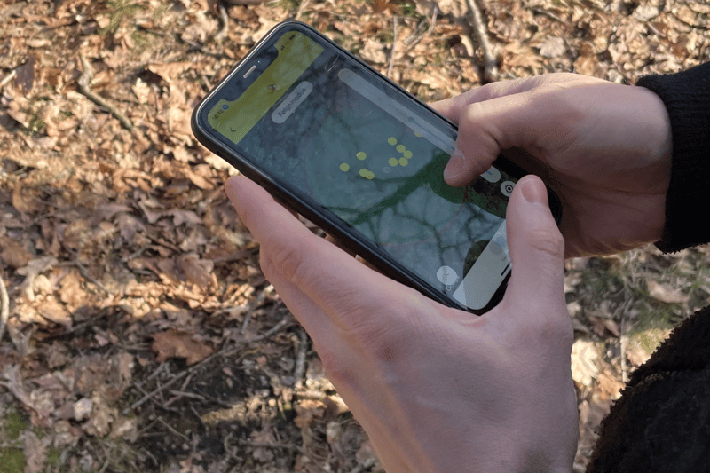 Case study | Beehive & Com4 Tech for Safer Kindergarten Trips